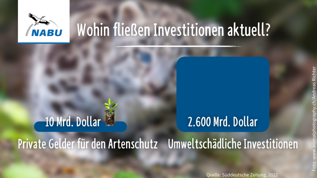 Der Wert unserer Lebensgrundlage