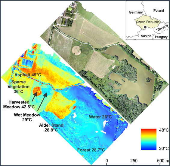 NABU-GAP-Ticker: Artenvielfalt im Ackerbau - ein AUKM-Entwurf des NABU
