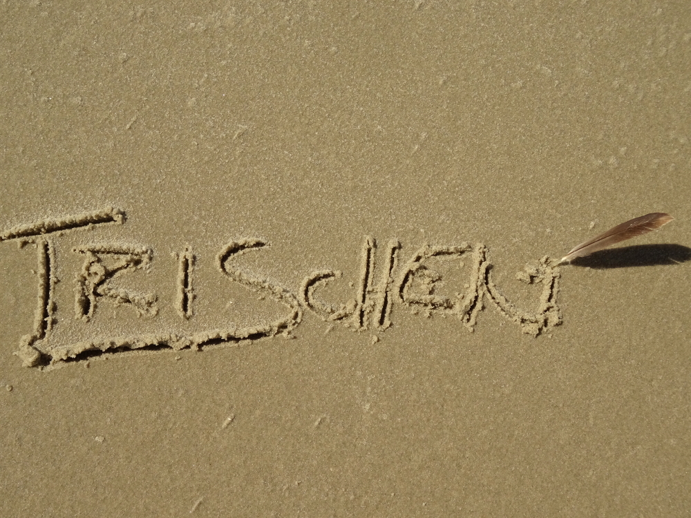 Trischen in Bildern 2016 - Vogelinsel Trischen - Perle im Nationalpark