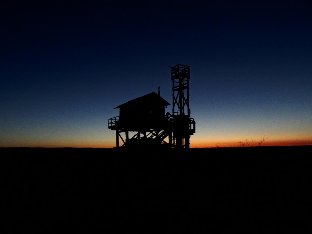 Trischen in Bildern 2016 - Vogelinsel Trischen - Perle im Nationalpark