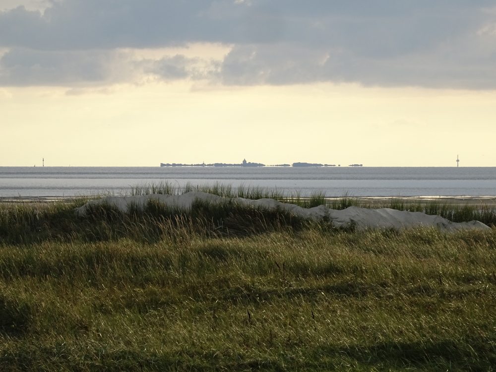 Trischen in Bildern 2016 - Vogelinsel Trischen - Perle im Nationalpark