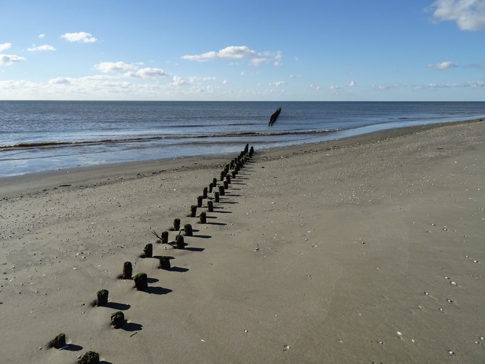 Trischen in Bildern 2016 - Vogelinsel Trischen - Perle im Nationalpark