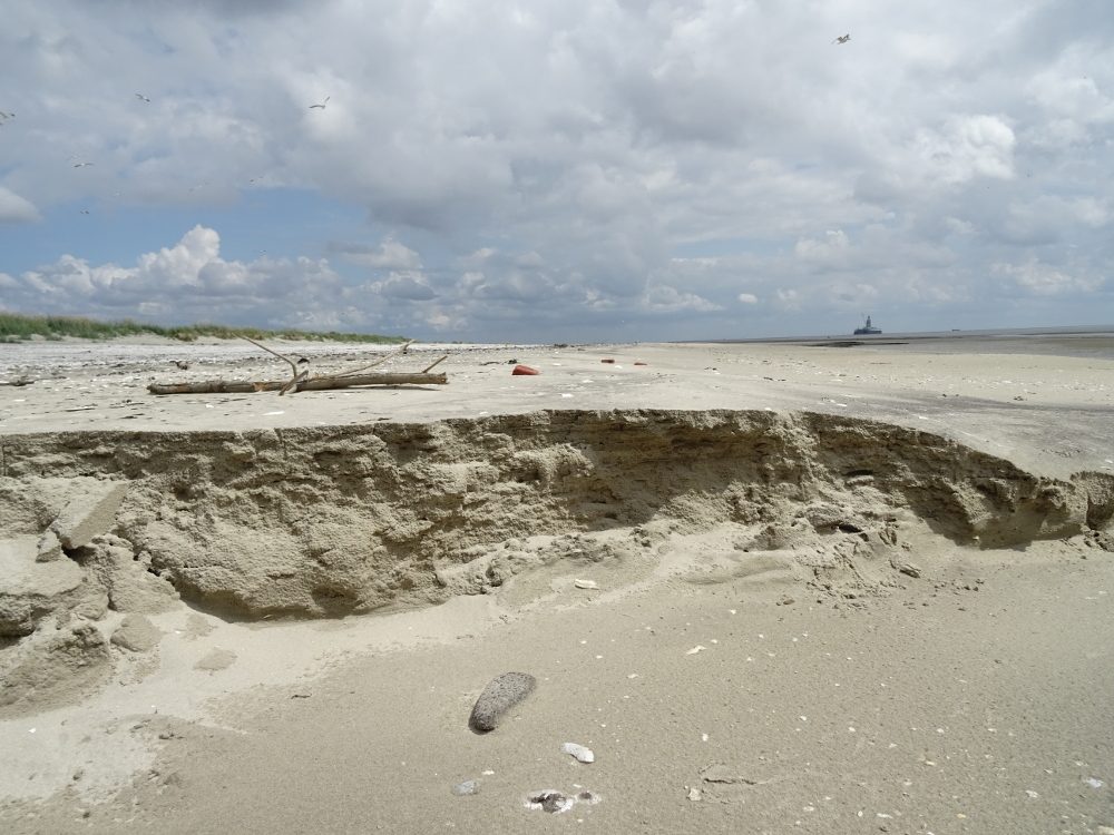 Trischen in Bildern 2016 - Vogelinsel Trischen - Perle im Nationalpark