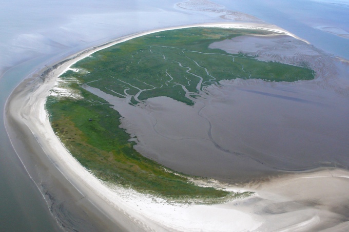 Mehr zu Trischen - Vogelinsel Trischen - Perle im Nationalpark