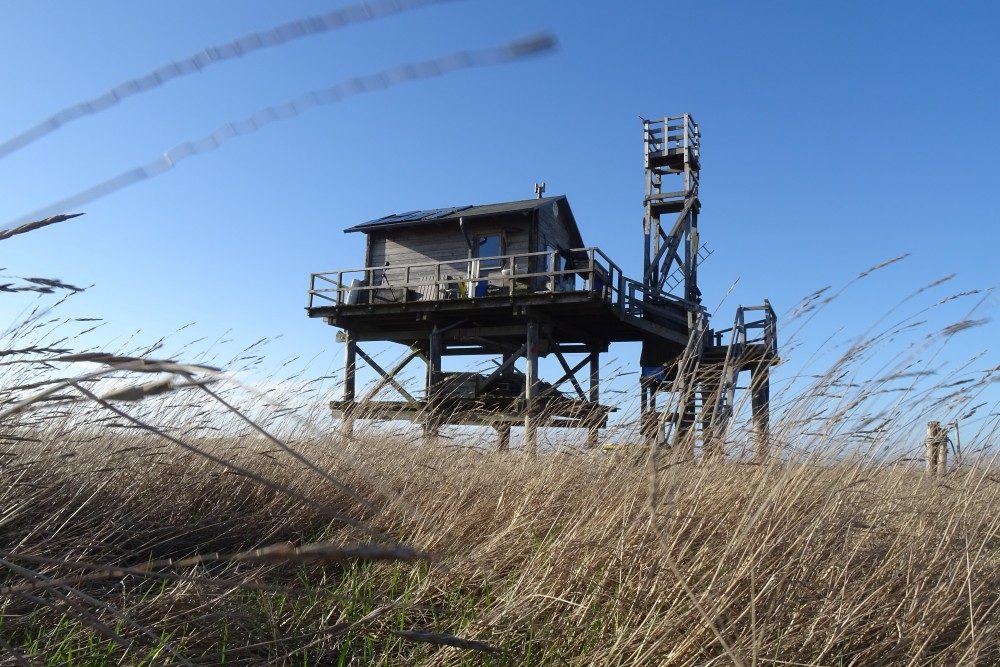 Saisonstart: nach zwei Wochen Verspätung endlich auf Trischen angekommen!
