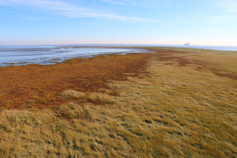 Die letzten Tage auf Trischen