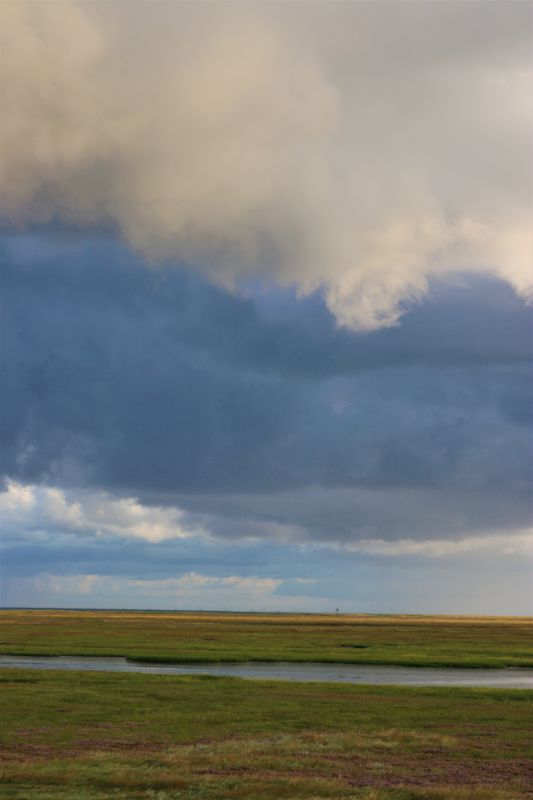Trischen in Bildern 2018 und 2019 - Vogelinsel Trischen - Perle im ...