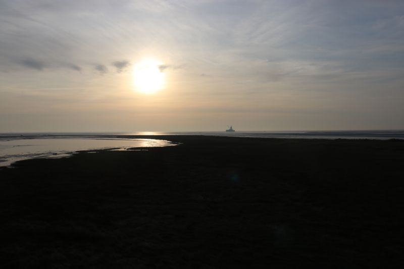 Trischen in Bildern 2018 und 2019 - Vogelinsel Trischen - Perle im ...