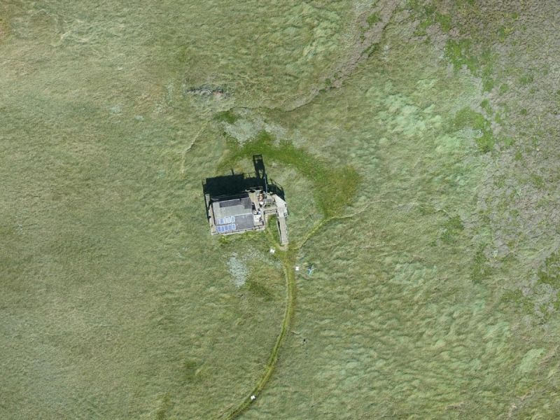 Trischen in Bildern 2021 - Vogelinsel Trischen - Perle im Nationalpark