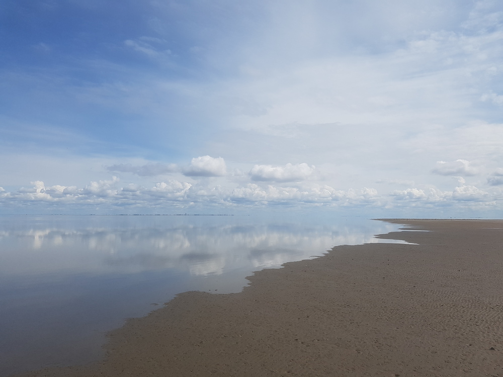 Vogelinsel Trischen - Perle im Nationalpark - Das Tagebuch des Vogelwarts.