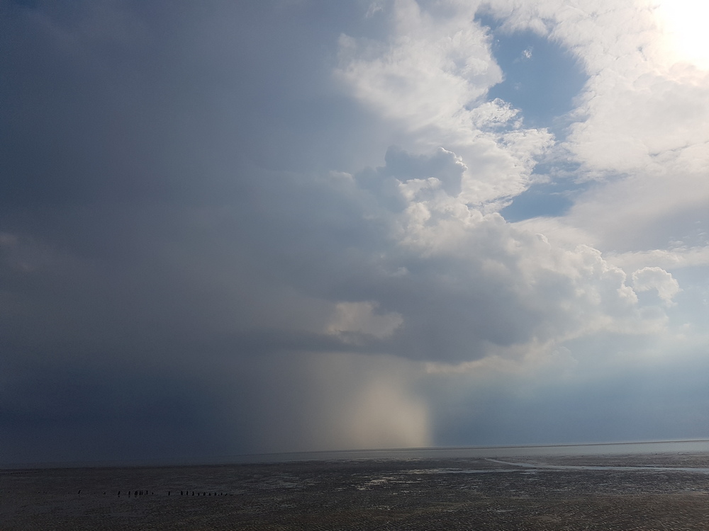 Trischen in Bildern 2021 bis 2023 - Vogelinsel Trischen - Perle im ...