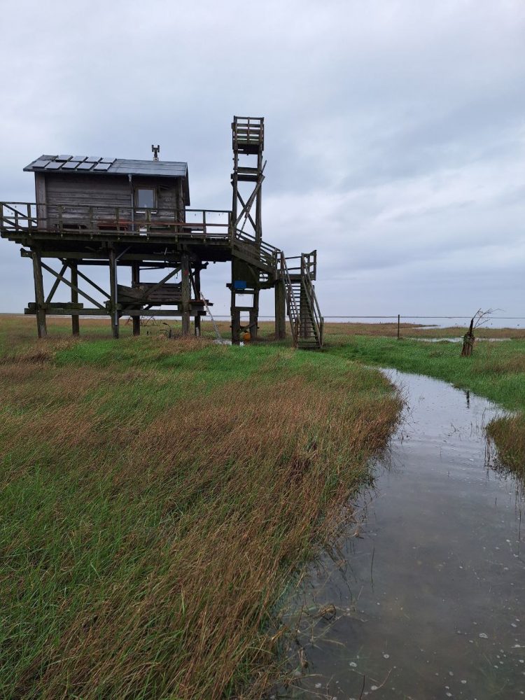 Trischen und der Klimawandel