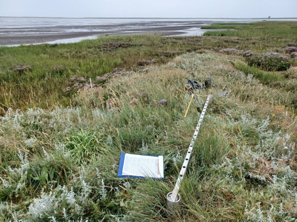 Vogelinsel Trischen - Perle im Nationalpark - Das Tagebuch des Vogelwarts.