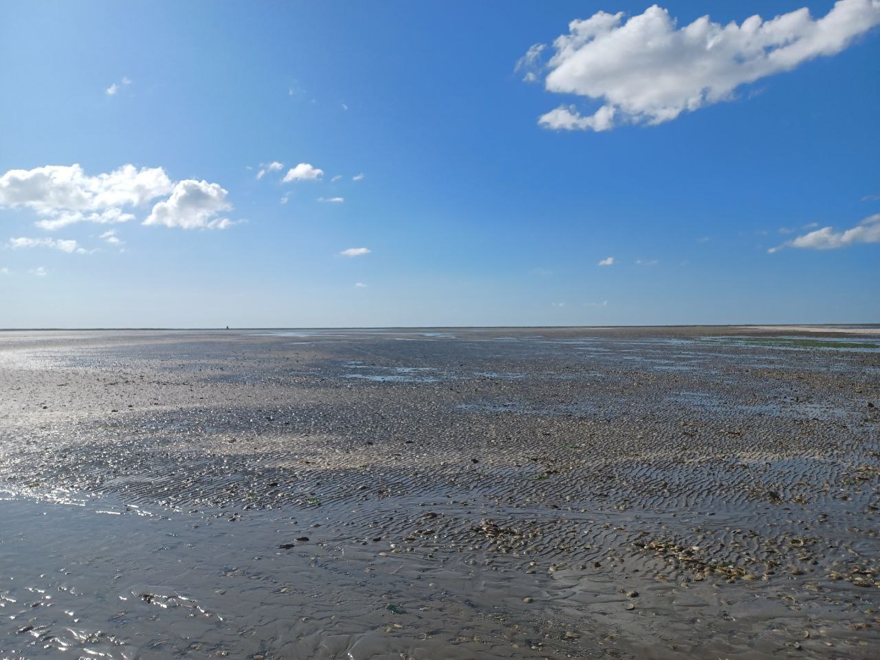 Vogelinsel Trischen - Perle im Nationalpark - Das Tagebuch des Vogelwarts.