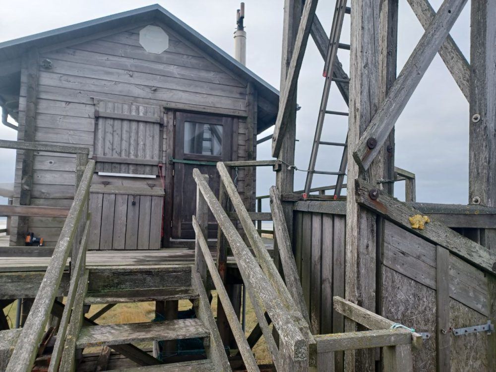 Vogelinsel Trischen - Perle im Nationalpark - Das Tagebuch des Vogelwarts.